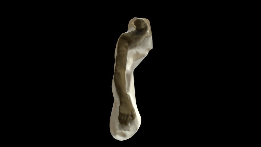 Scan - ARM - 3D model by ArtlabPlus [a8a0522] - Sketchfab