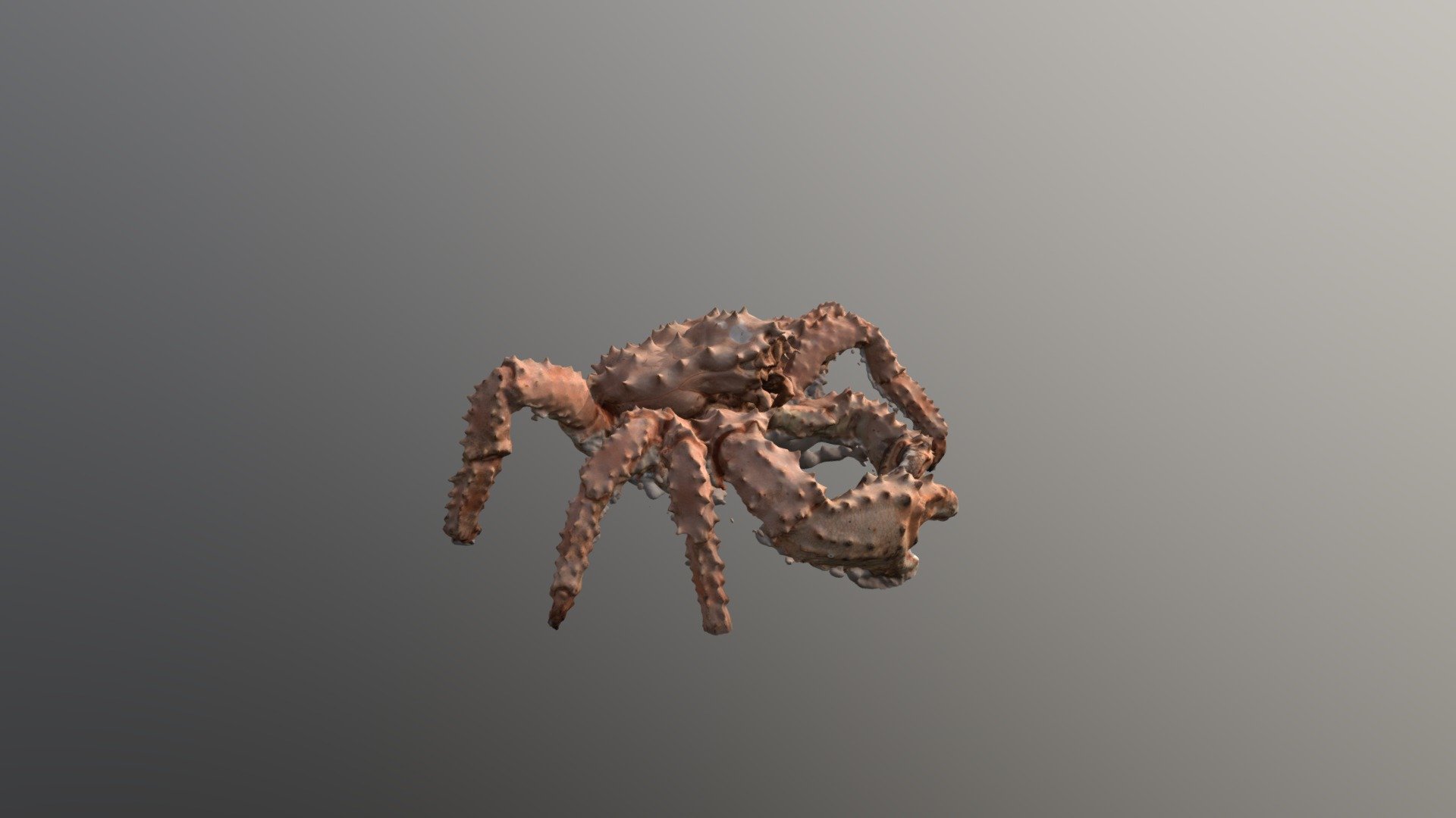 Crab - 3D model by Ky3mu40FF [a8a1964] - Sketchfab