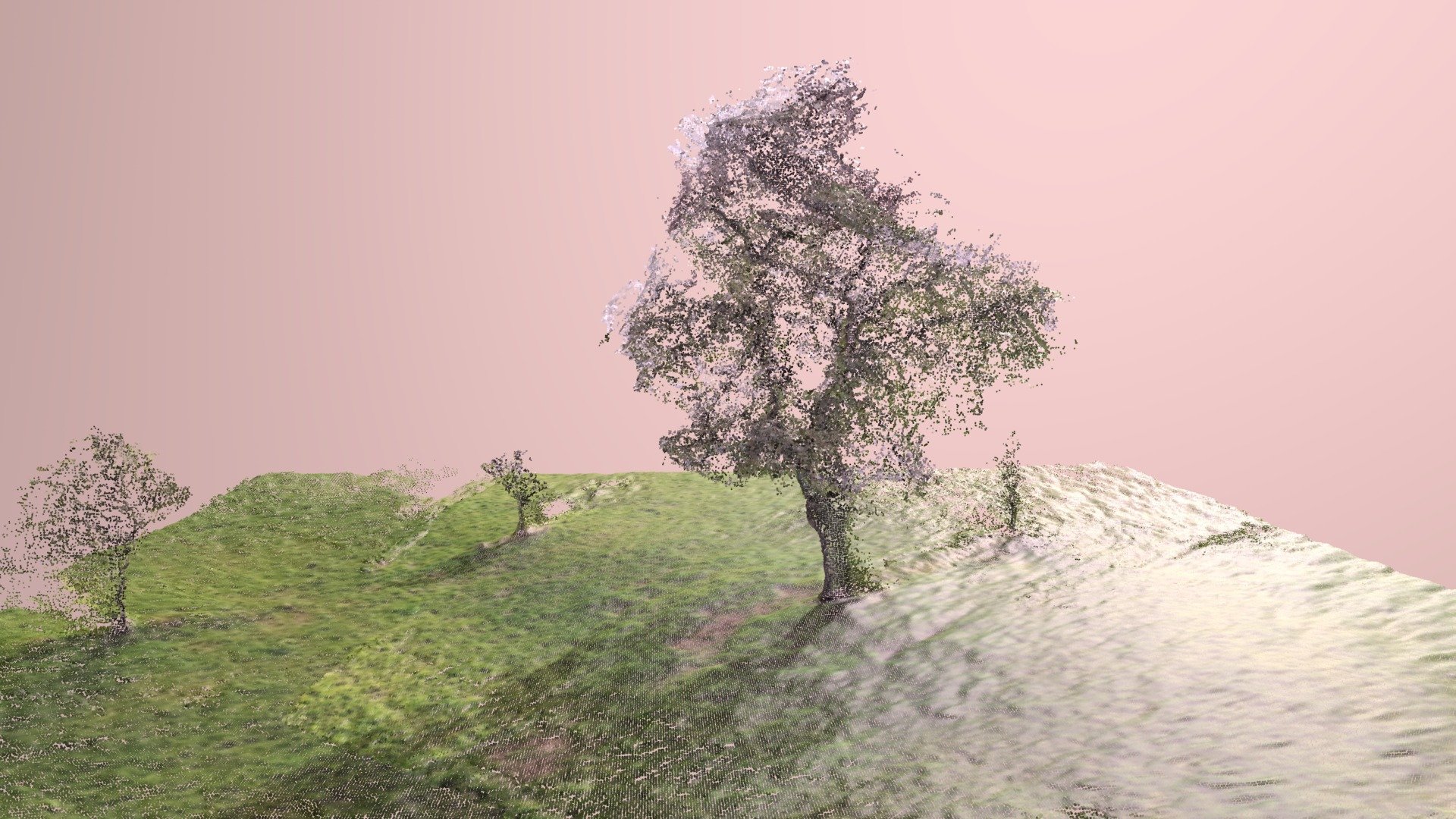 Photogrammetry tree experiment Friedberg Germany - 3D model by ...