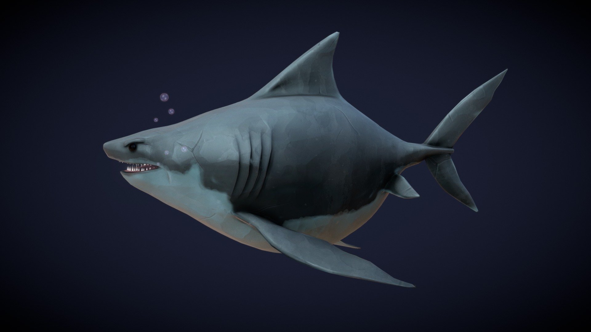 Chonky Shark - 3D model by VintageToy [a8ac3c2] - Sketchfab