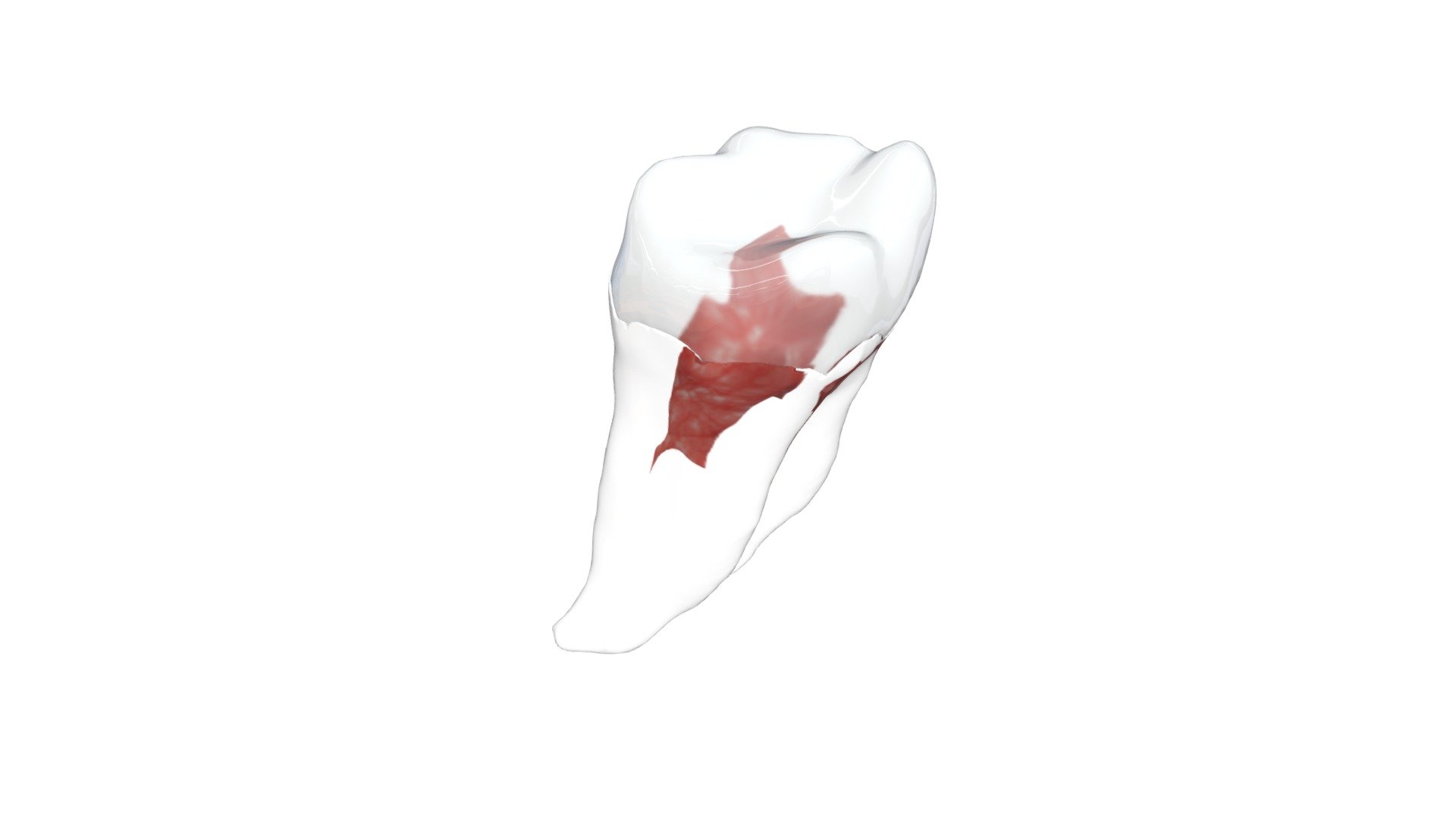 36 Endo - 3D model by OMFA3D [a8c5876] - Sketchfab