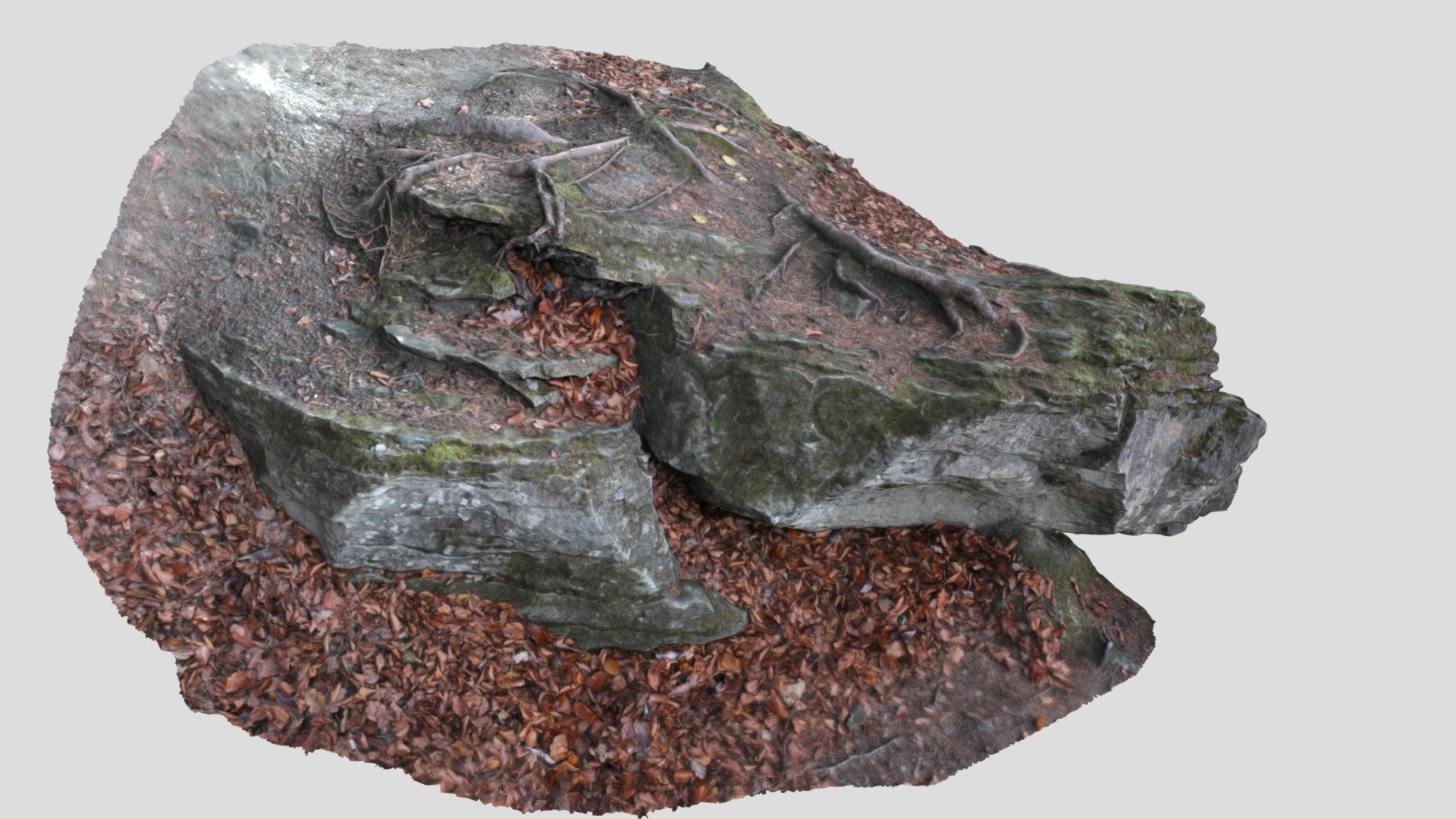 Rock Scan 009 - 3D model by TetraCG [a8cfe84] - Sketchfab