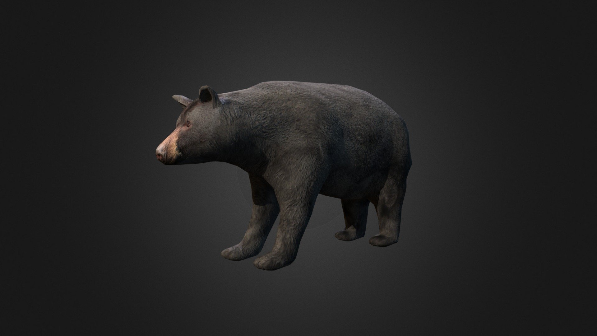 Baribal - 3D model by Ondřej Vališ (@throy) [a8d632f] - Sketchfab