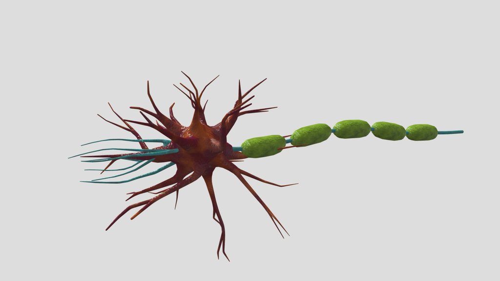 Open Bio - A 3D model collection by valentin.skvorcov - Sketchfab