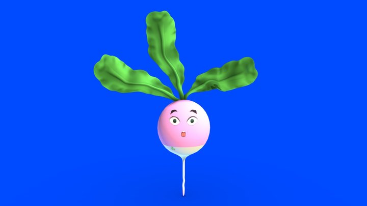 Radis 3D models - Sketchfab