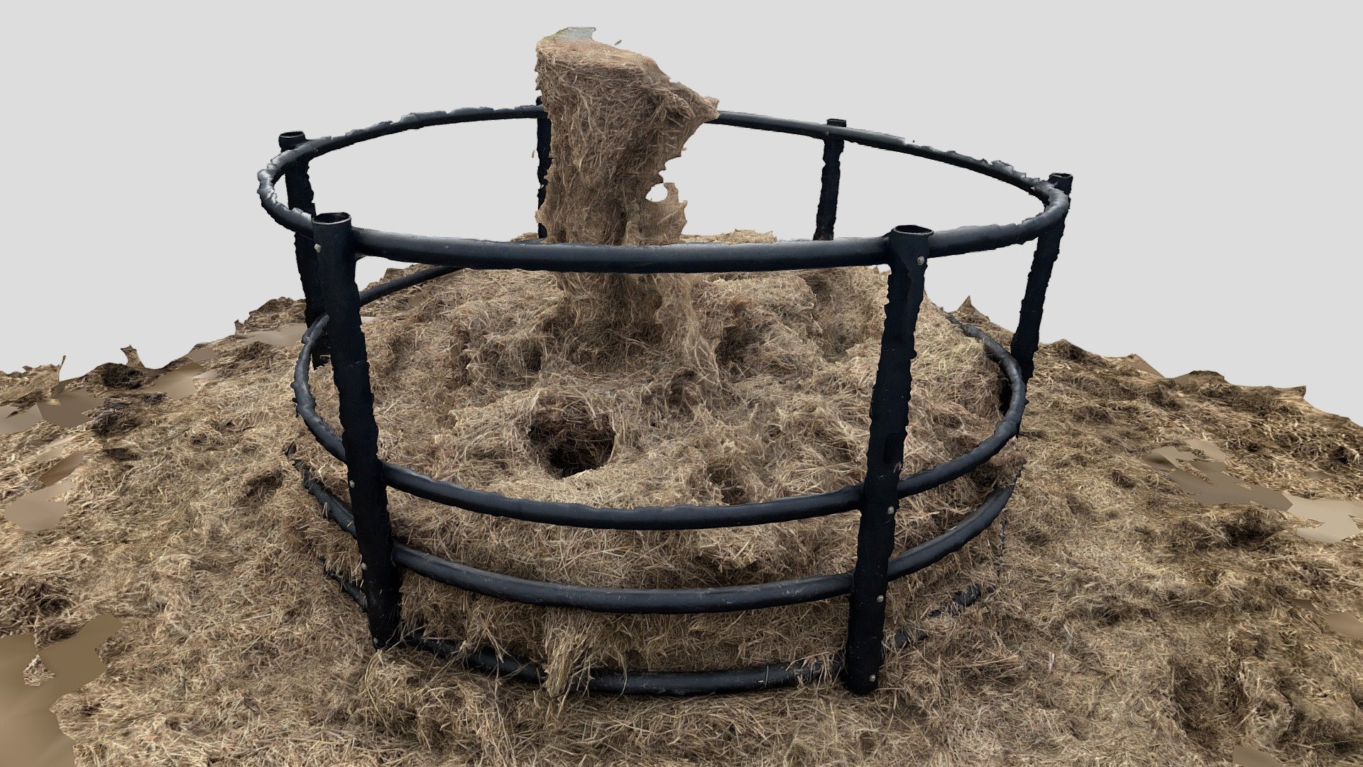 Hay Ring - Download Free 3D model by mitmur [a8e2ce6] - Sketchfab