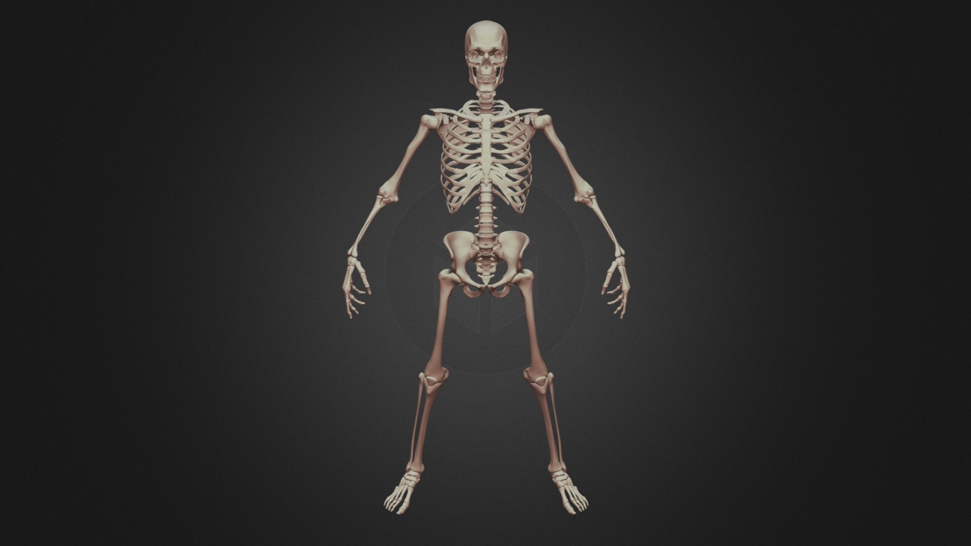 Super Skeleton - Buy Royalty Free 3D model by Teo (@szilla.mini ...