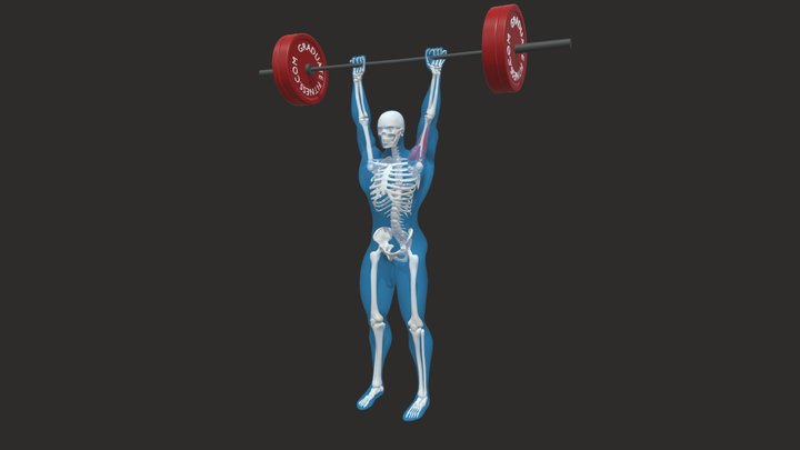 Mike - 3D Muscle Model (@mikeshortall1991) - Sketchfab