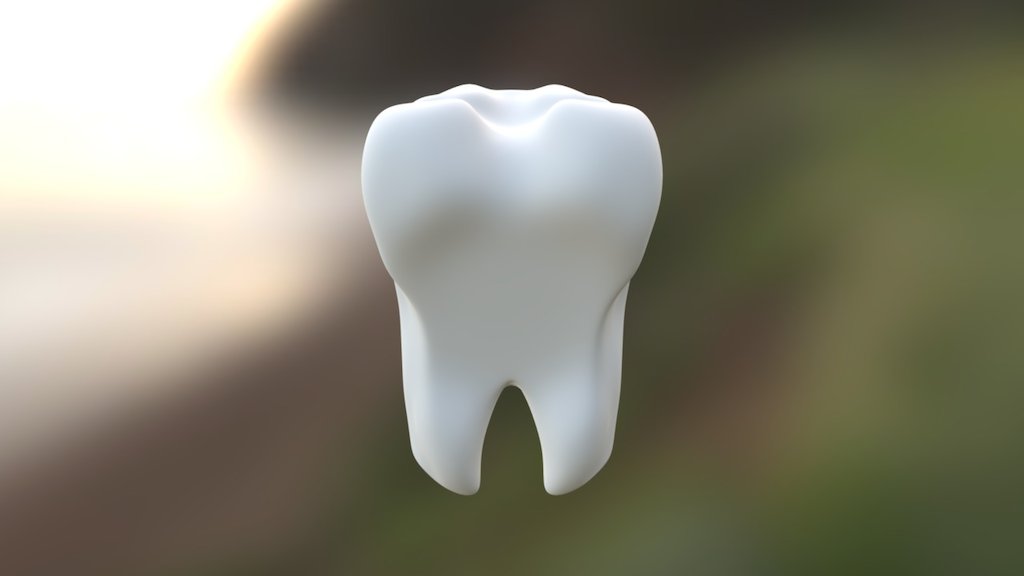 Tooth - 3D model by Mustafa.Shakarchi [a8f25f1] - Sketchfab