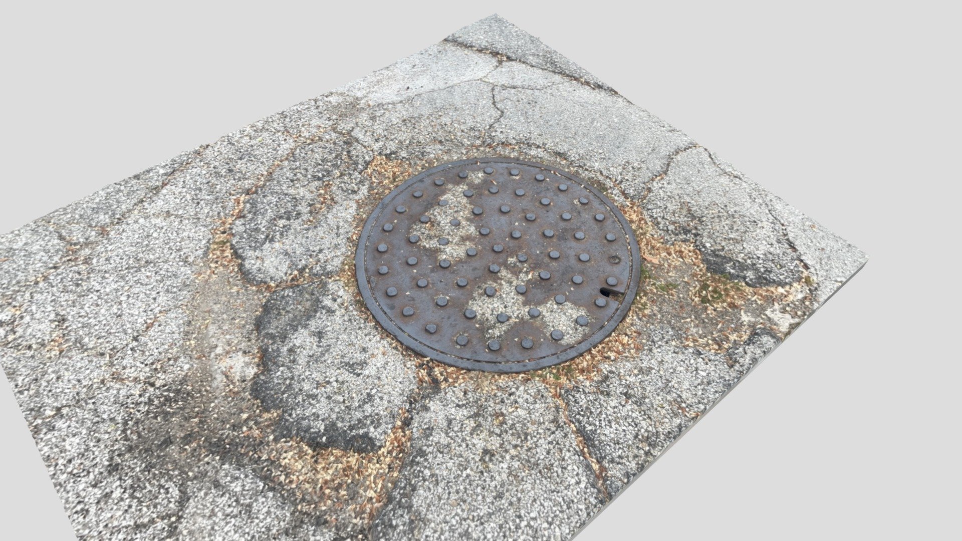 Manhole Cover - 3D model by aluloff [a8f786b] - Sketchfab