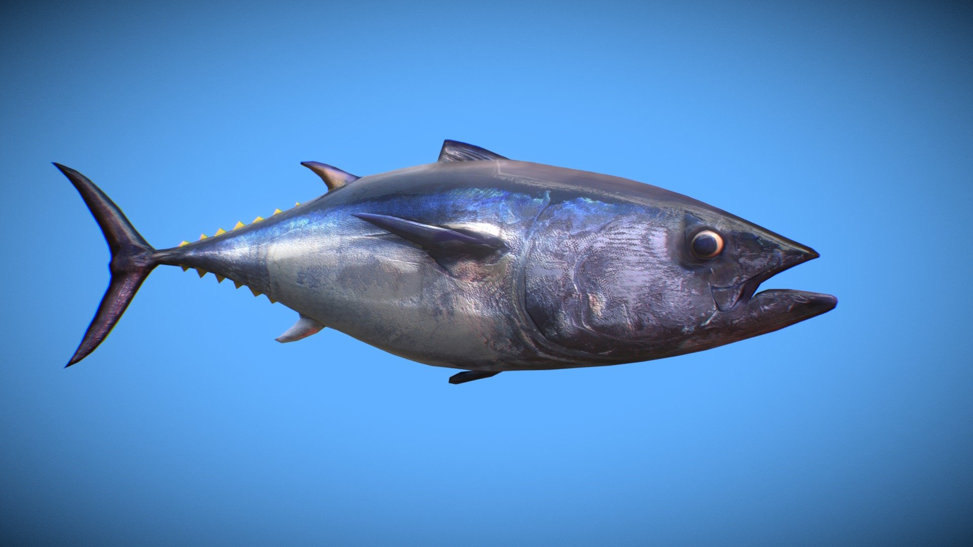 Tuna - Buy Royalty Free 3D model by BlueMesh [a8fa98c] - Sketchfab Store