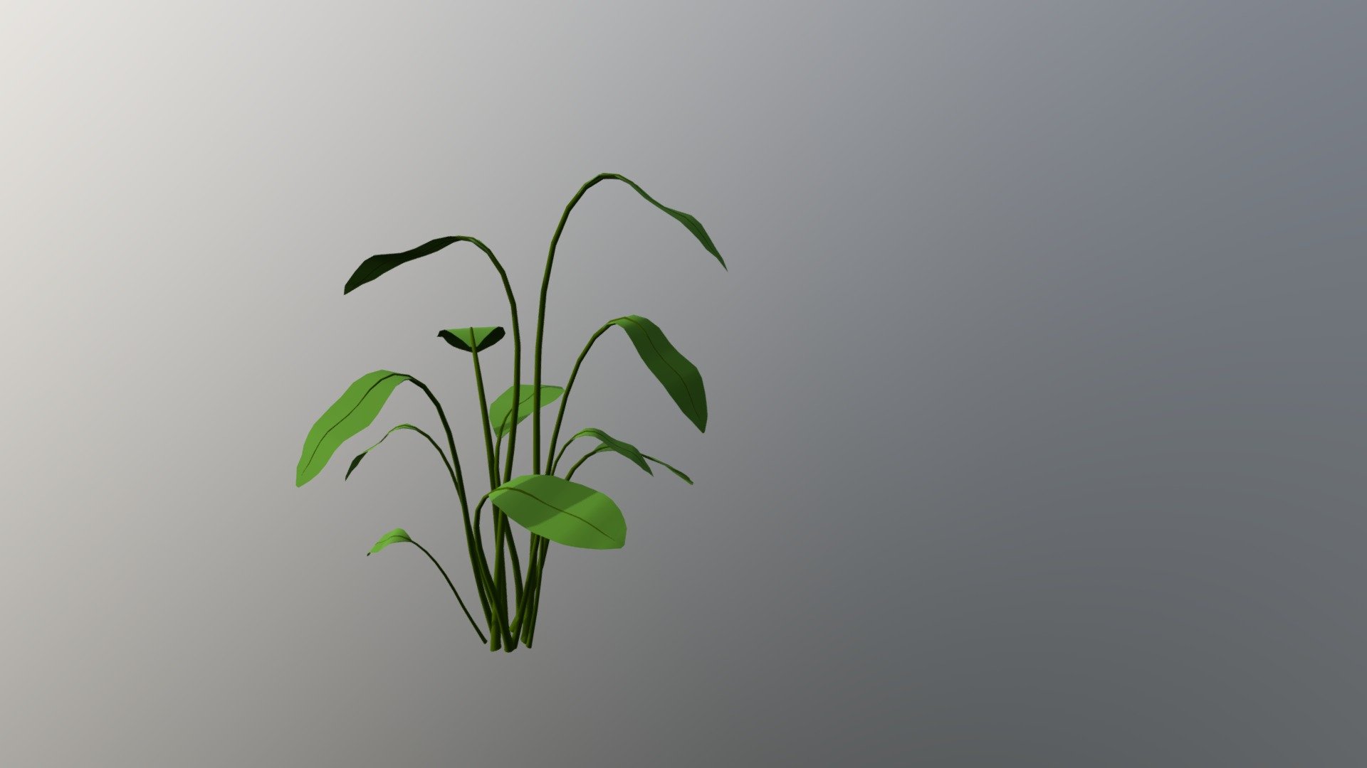 plants - 3D model by Em (@iron-kid) [a9012a0] - Sketchfab