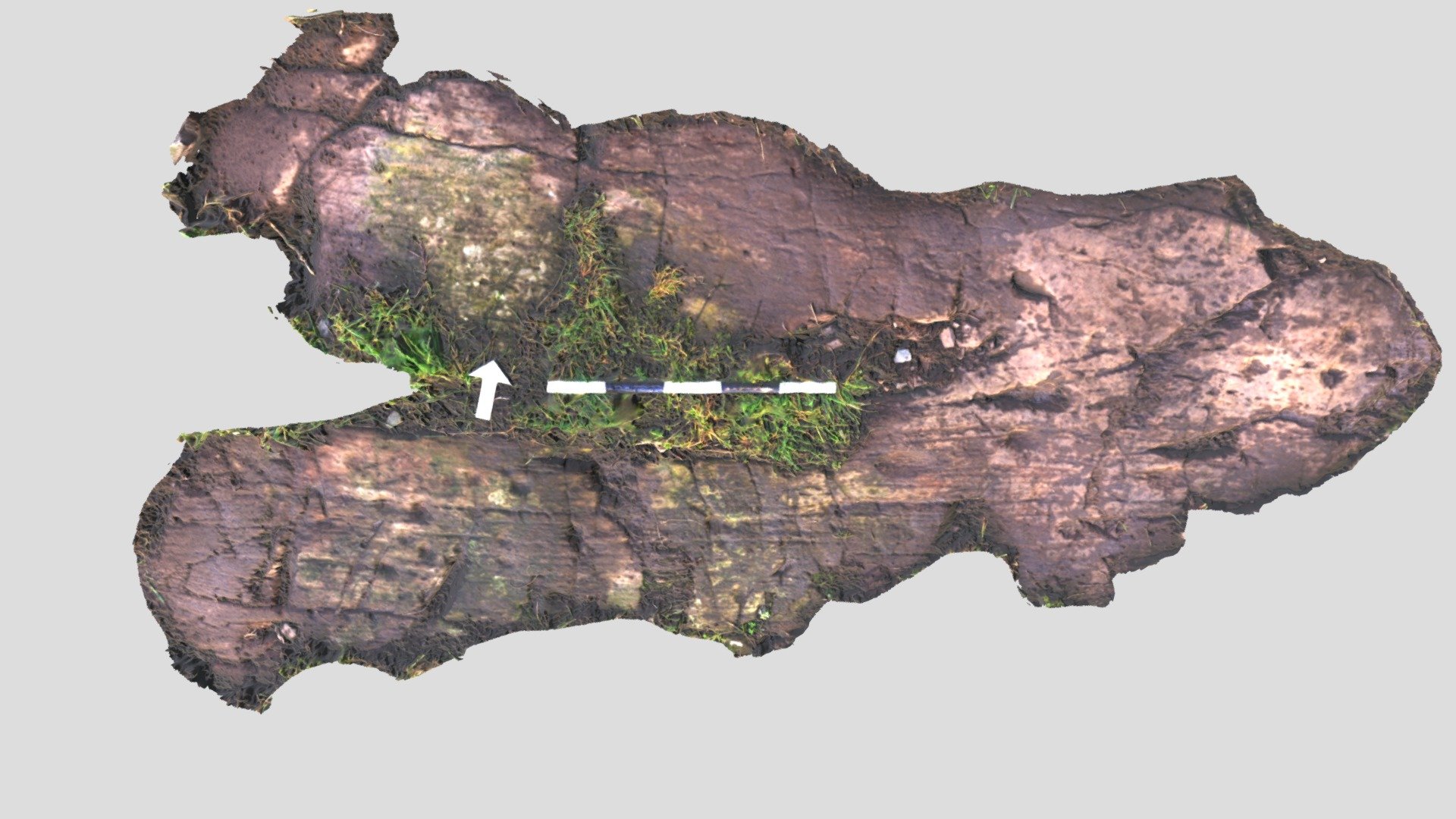 Nielson'sHill 2 - Download Free 3D model by dsmyth [a9024bd] - Sketchfab