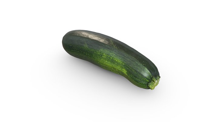 Squash 3D models - Sketchfab