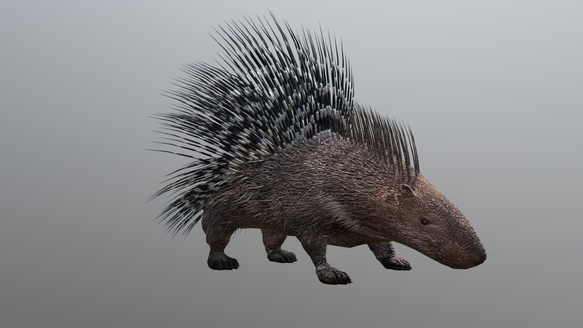 Porcupine - Buy Royalty Free 3D model by 3dlowpoly [a90bbd0] - Sketchfab Store