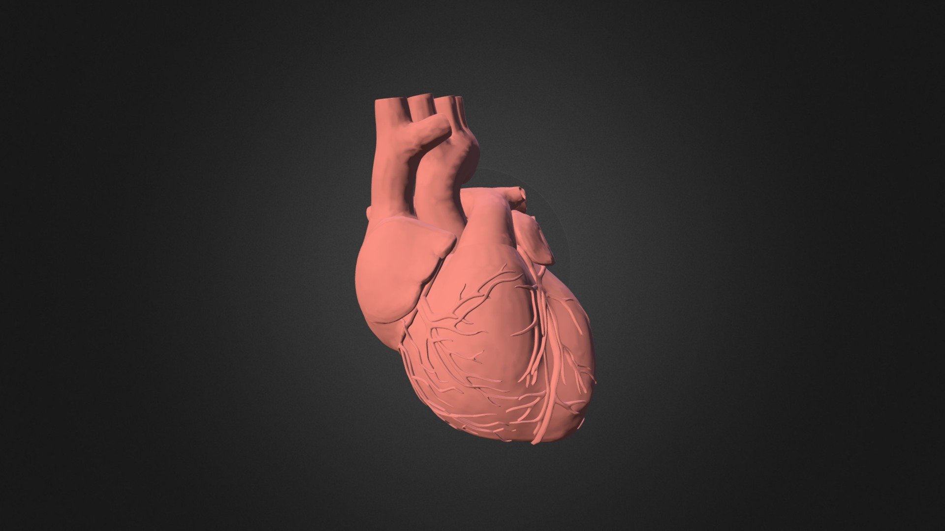 Human Heart - 3D model by mejem (@matousejem) [a90c25a] - Sketchfab