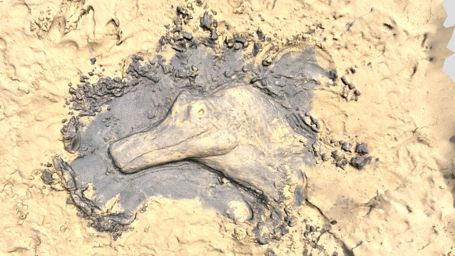 Angaturama sand sculpture - 3D model by THSpike [a90f046] - Sketchfab