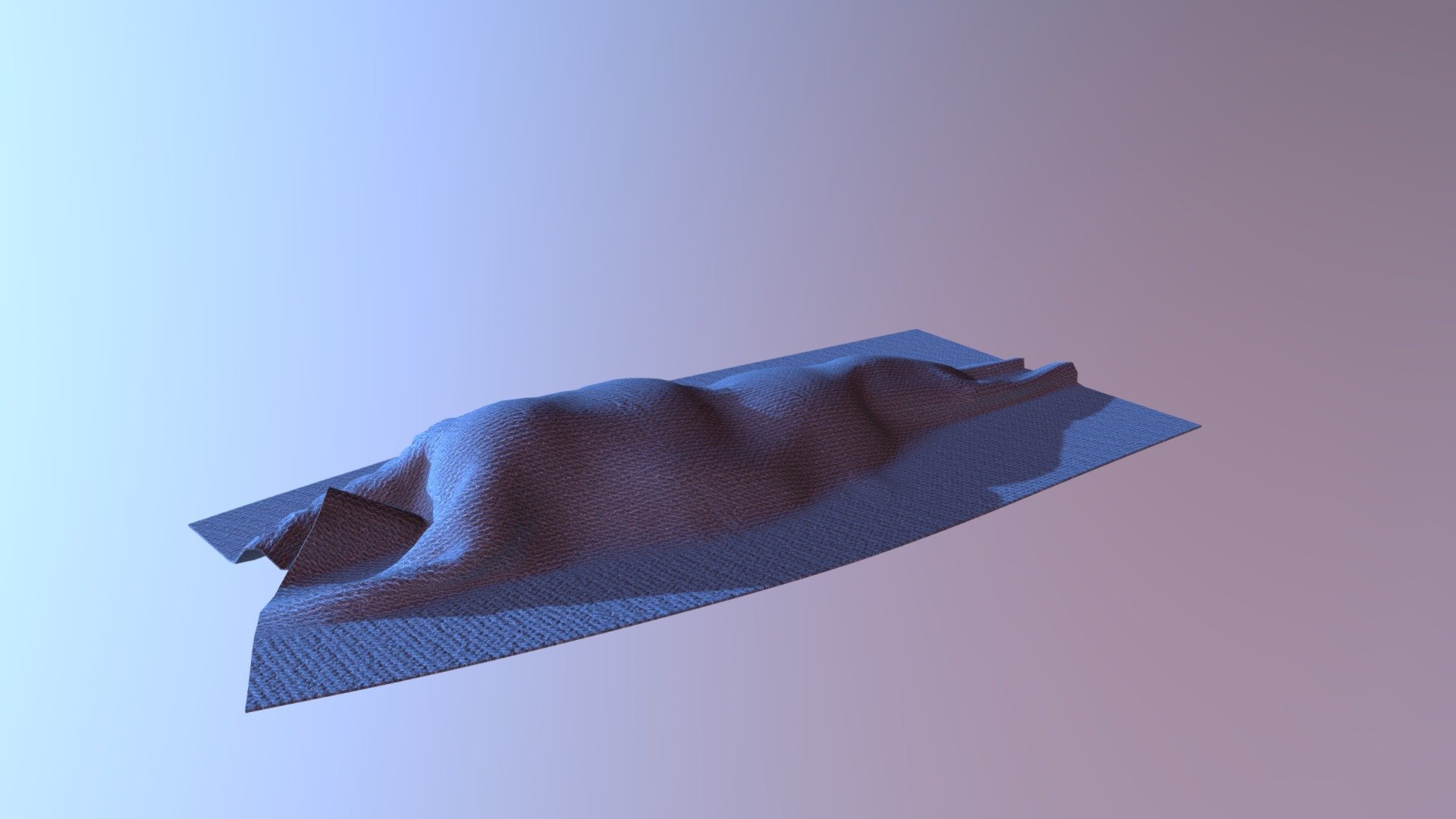 Cloth Simulation - 3D model by Prof Tanner (@rwt07a) [a912cc3] - Sketchfab