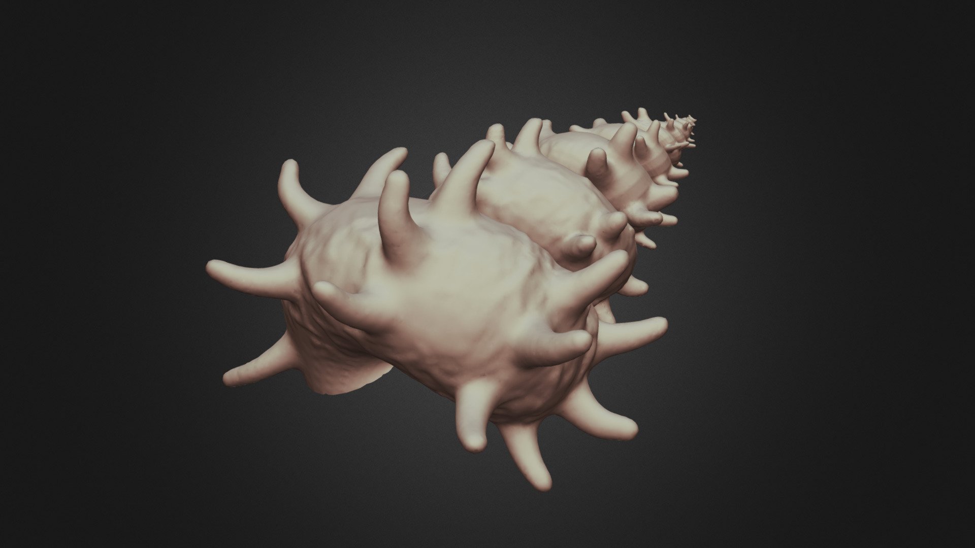 25. Shell #sculptjanuary18 - 3D model by Xoteleku [a91489b] - Sketchfab