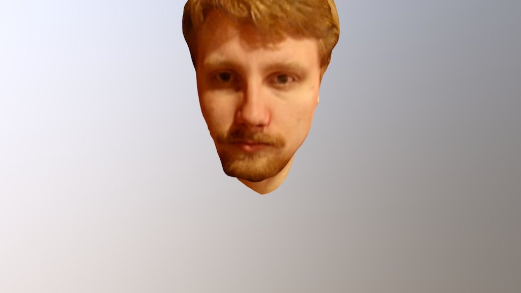 mans-face-2017-09-07 - 3D model by ninjazingo [a916073] - Sketchfab