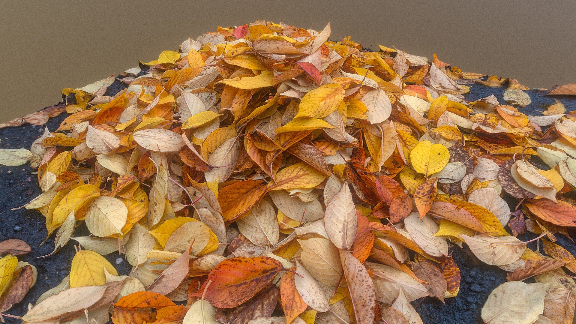 Small heap of leaves on sidewalk - Buy Royalty Free 3D model by ...