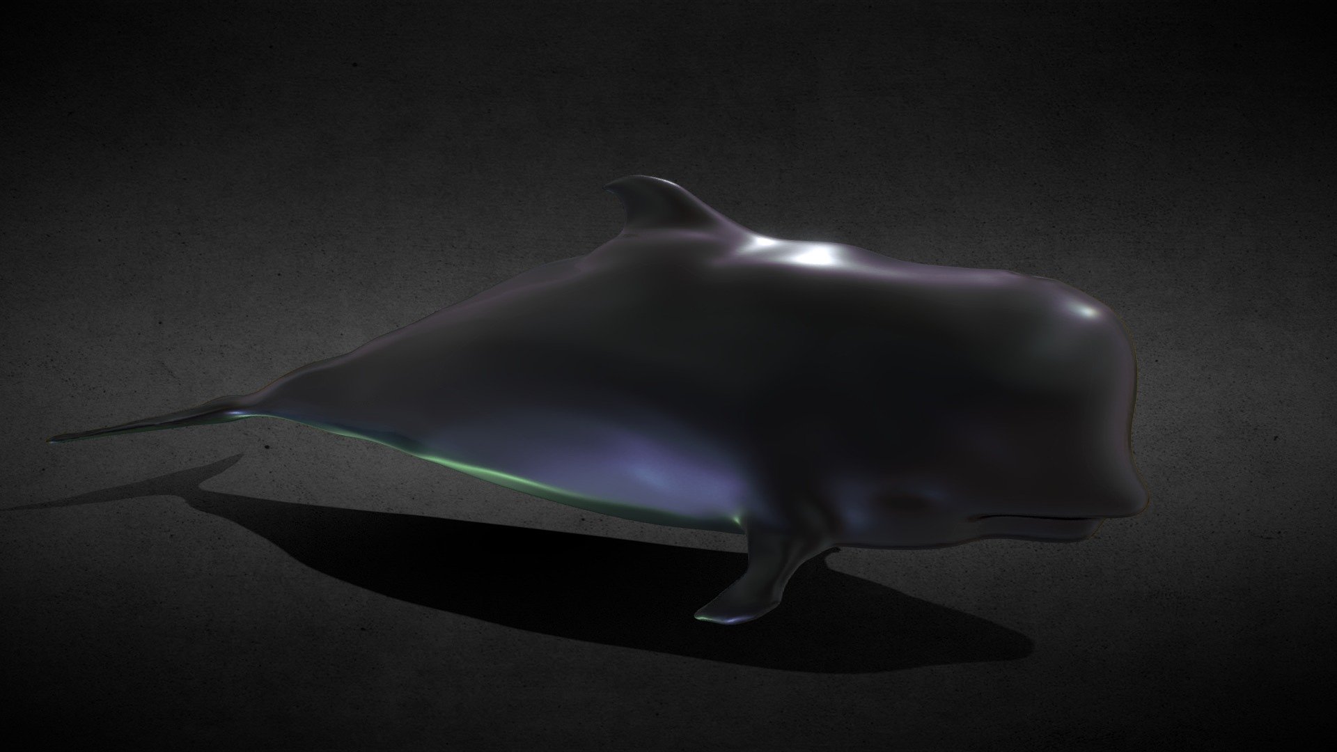 Pilot Whale - Download Free 3D model by B41dur [a927f5c] - Sketchfab