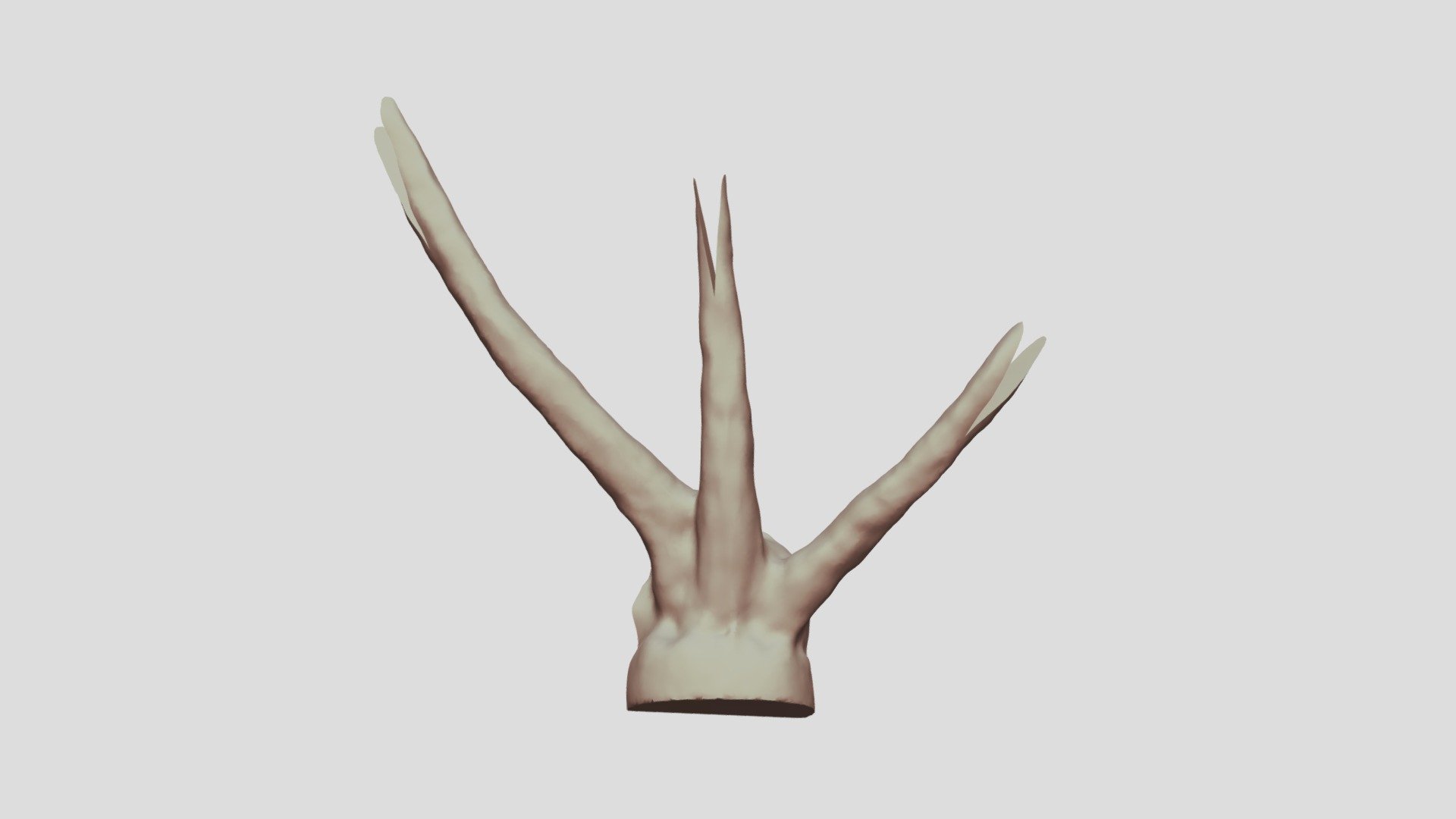 Beet 02 - Download Free 3D model by GigaScience (@GigaDB) [a929602 ...