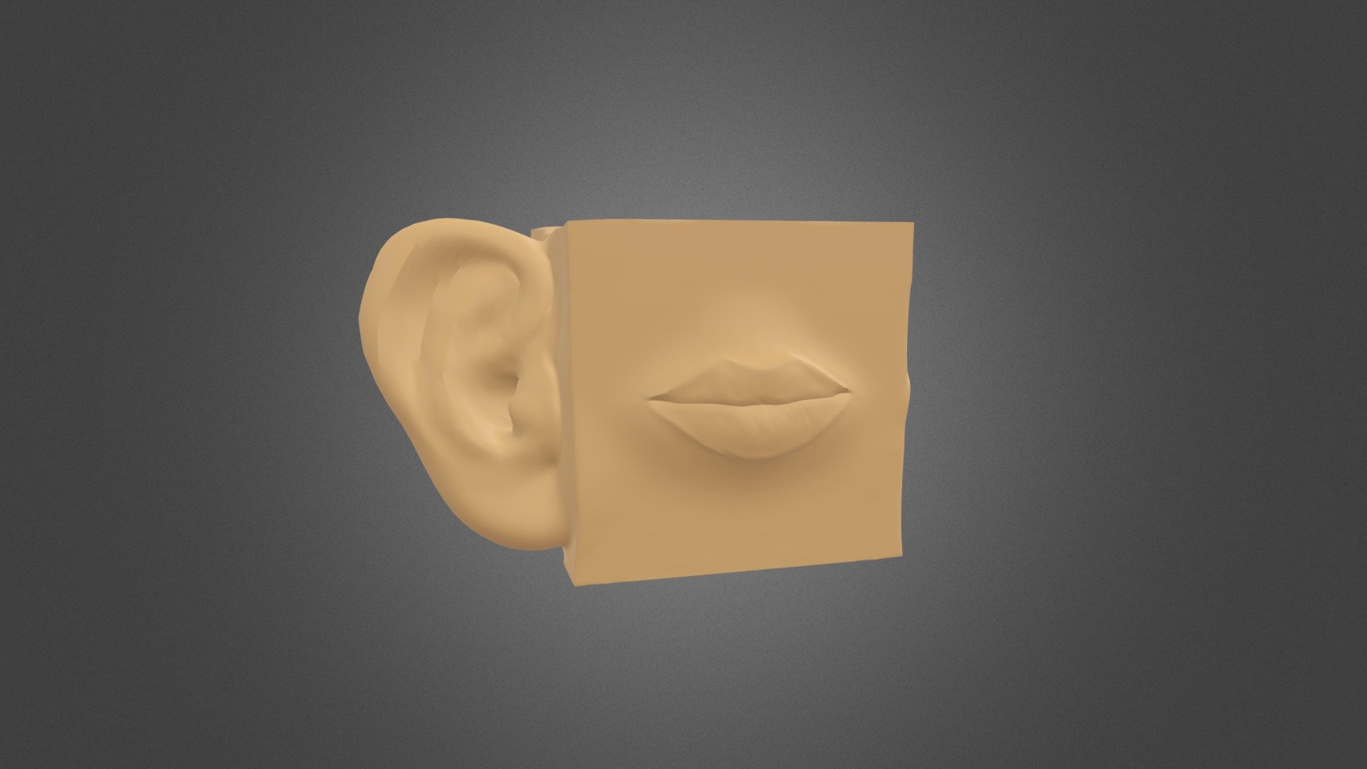 Anatomy Cube 3__ - 3D model by jsernas07 (@jsernas0007) [a932651 ...