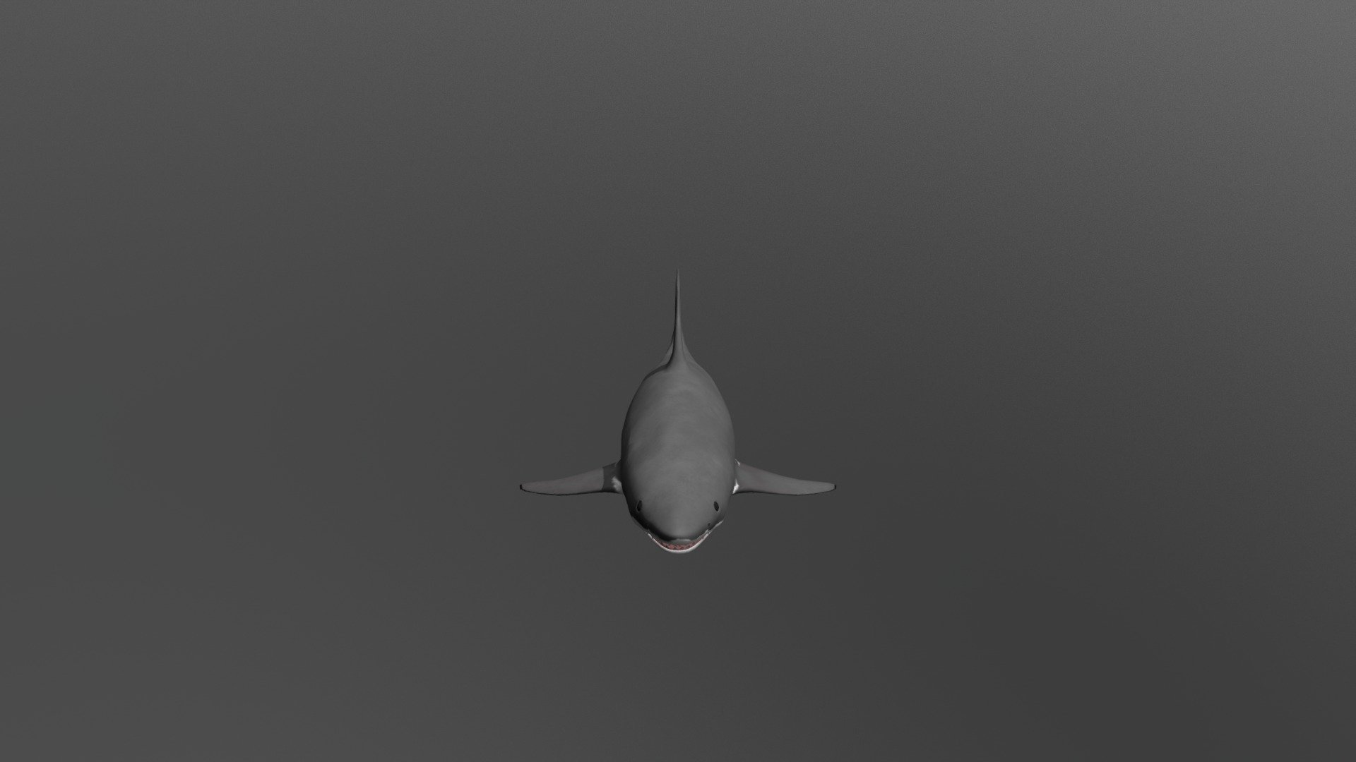 Shark - 3D model by Emiguéma Studio (@EmiguemaStudio) [a934a0e] - Sketchfab