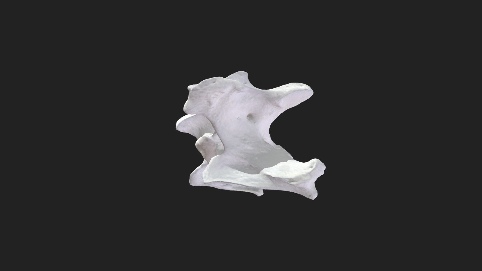3th cervical vertebra cat - 3D model by vetanatMunich [a93bfad] - Sketchfab