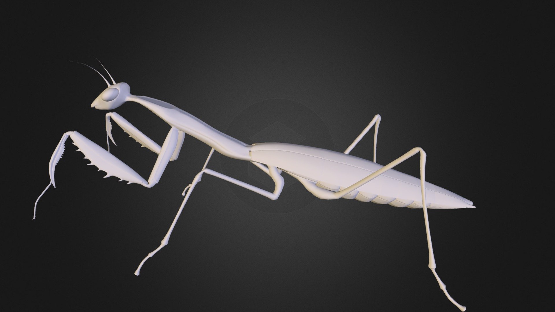 Mantis - 3D model by at430 [a941e9a] - Sketchfab