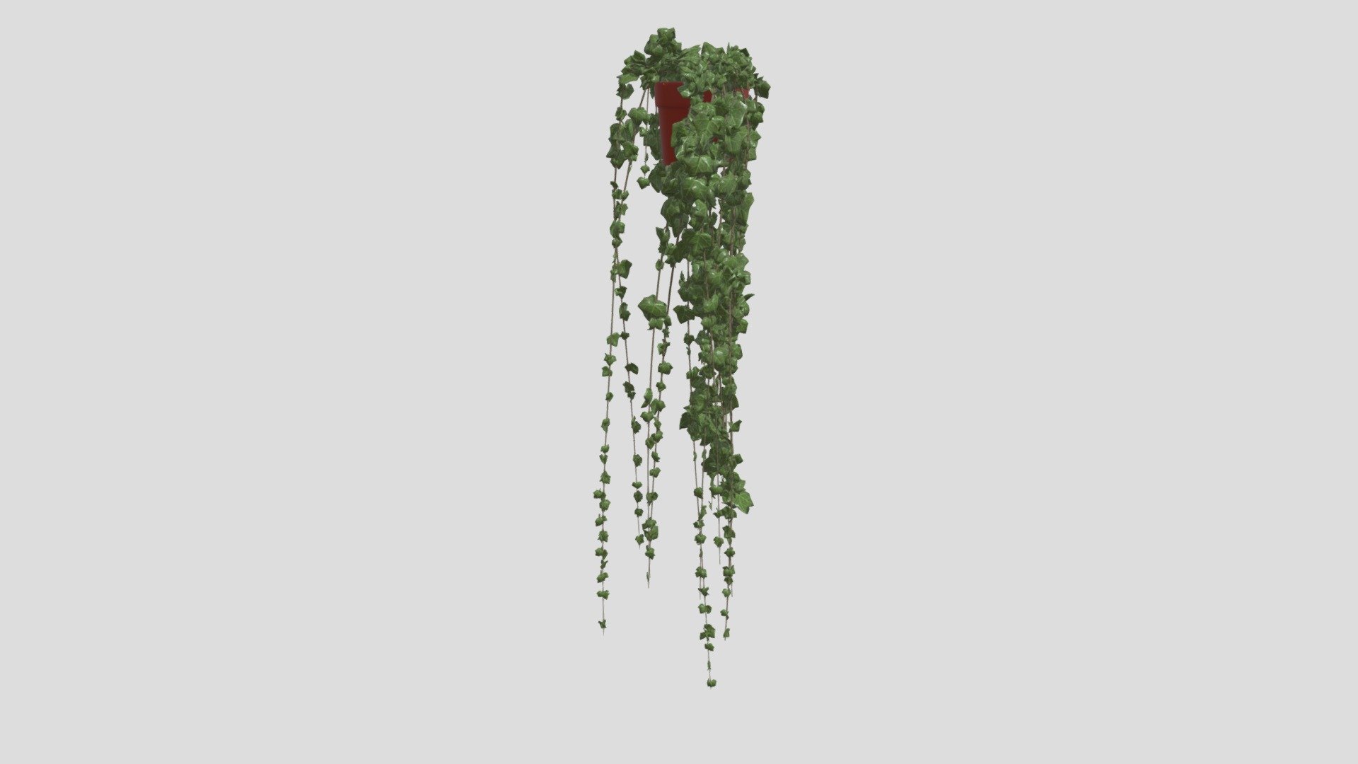 Hedera helix long ranks - Buy Royalty Free 3D model by 3DImaginationHub [a941f47] - Sketchfab Store