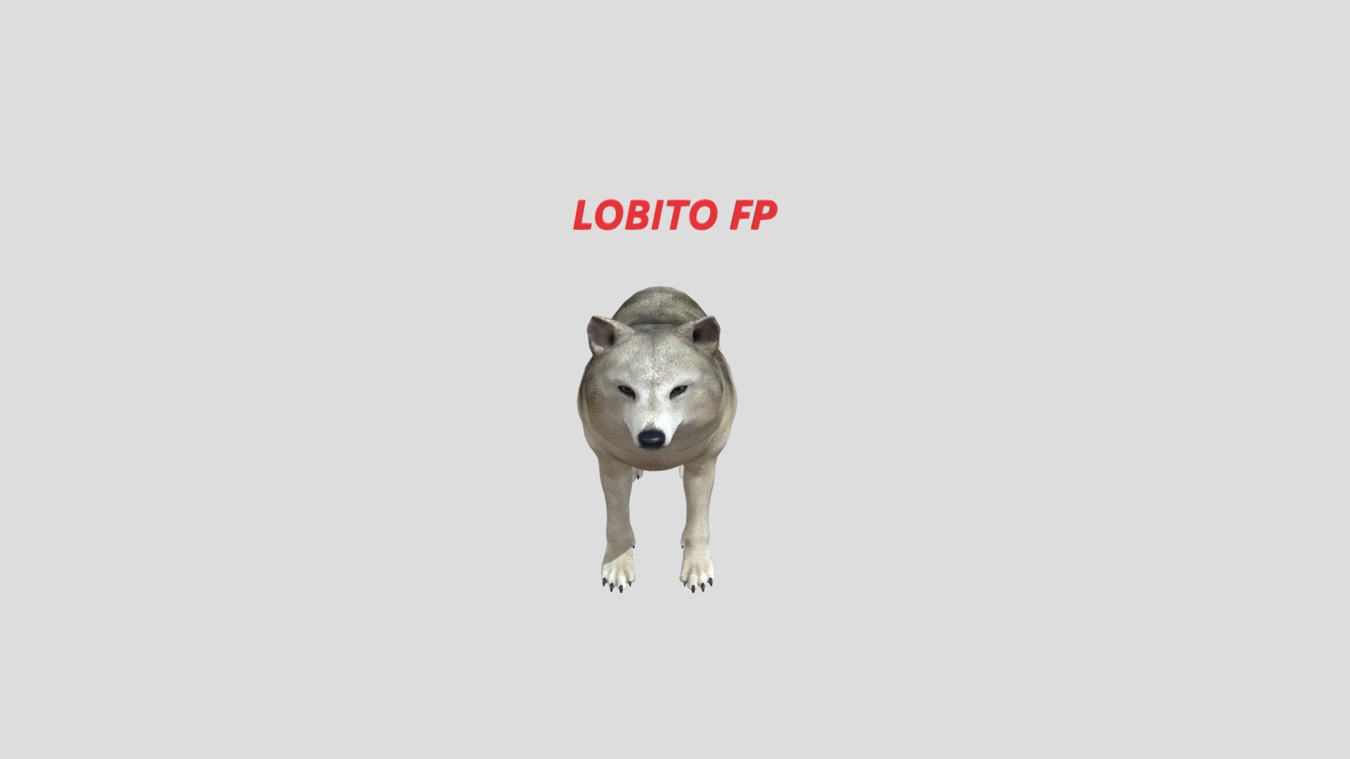 LOBO - Download Free 3D model by FreddyPotes [a94672e] - Sketchfab