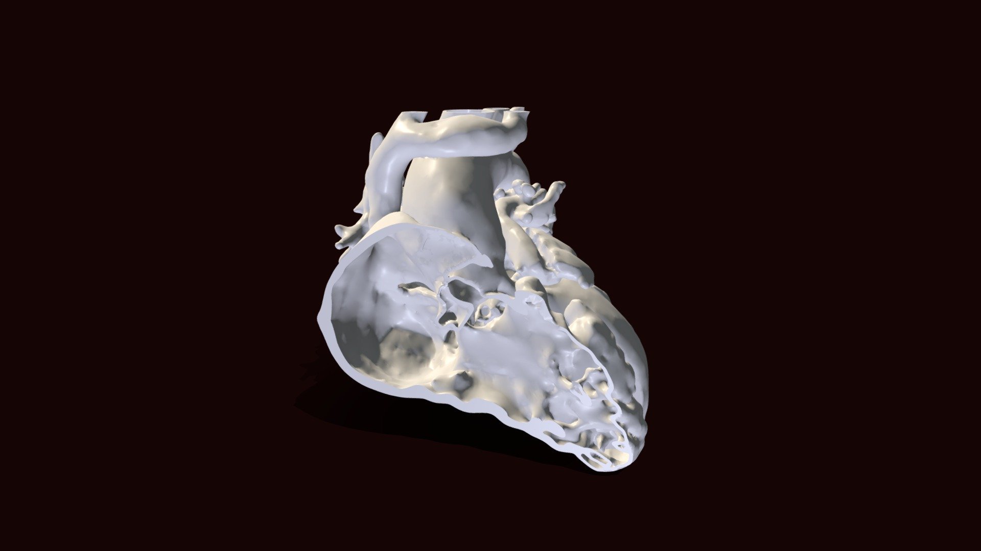 ToF PA MAPCAS - 3D model by kmaghrabi [a952bec] - Sketchfab