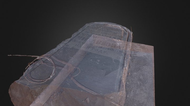 Rarity 3D models - Sketchfab