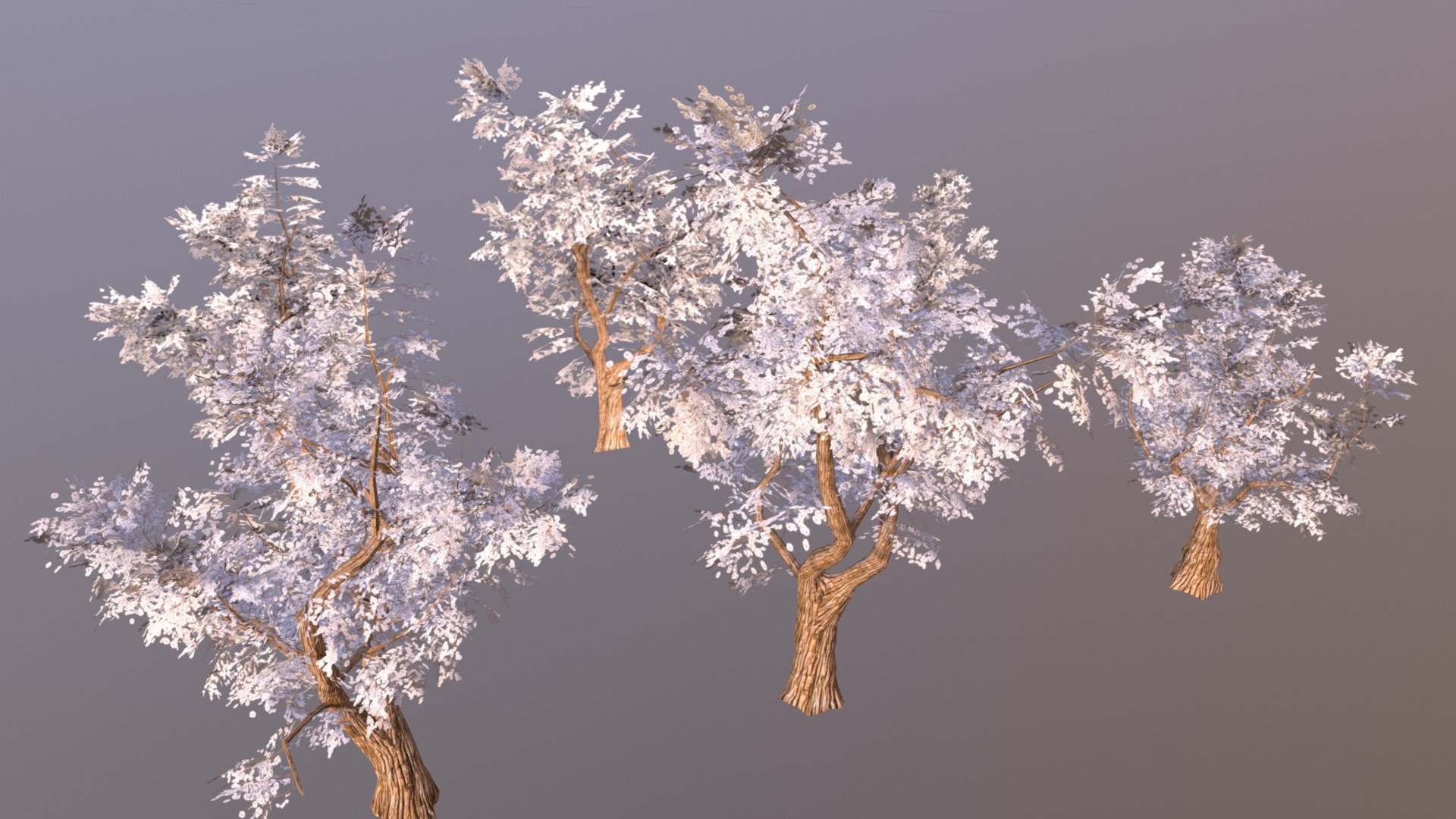 Almond Group - 3D model by capus.design [a95f9bd] - Sketchfab