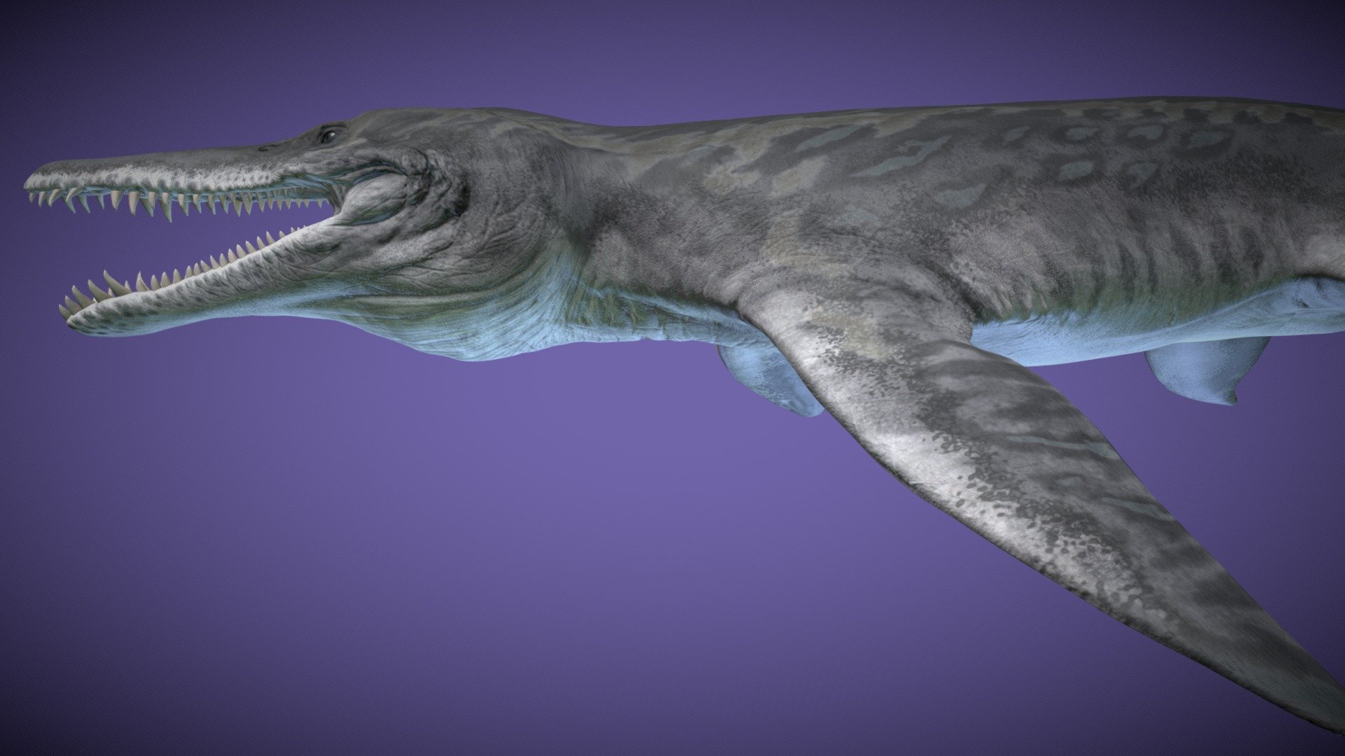 Kronosaurus - Buy Royalty Free 3D model by robertfabiani [a95fb78] - Sketchfab Store