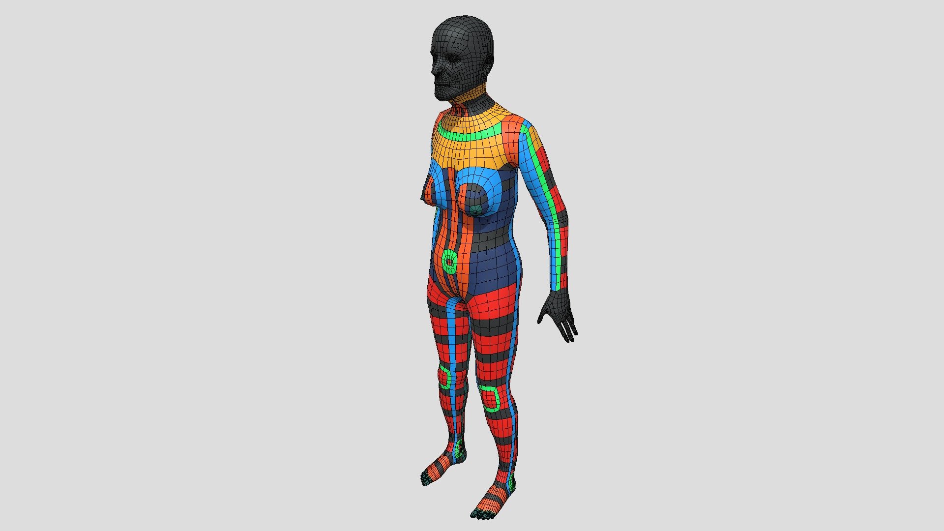 How-to: Human Retopology for Animation - 3D model by Edward Jaworenko ...