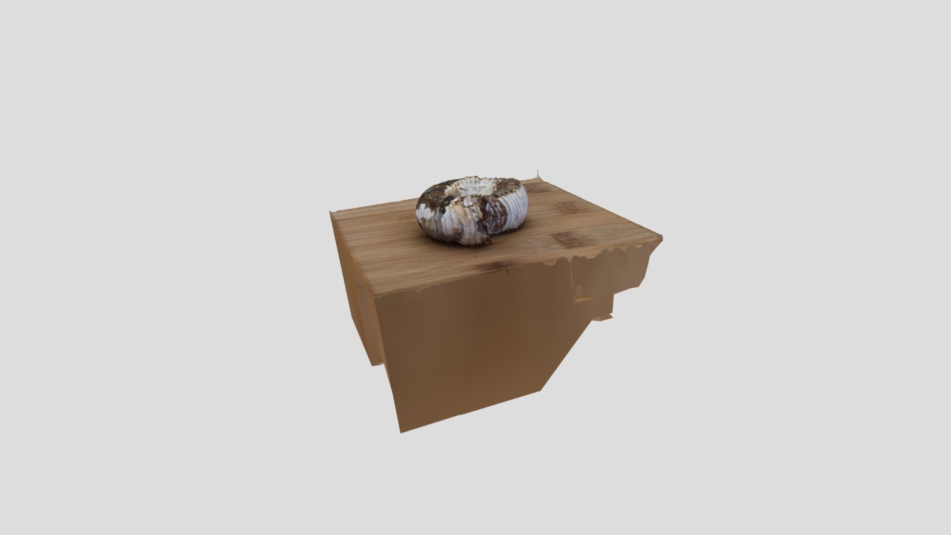 ammonite - Download Free 3D model by JulieD (@jdunlop83) [a966cb5 ...