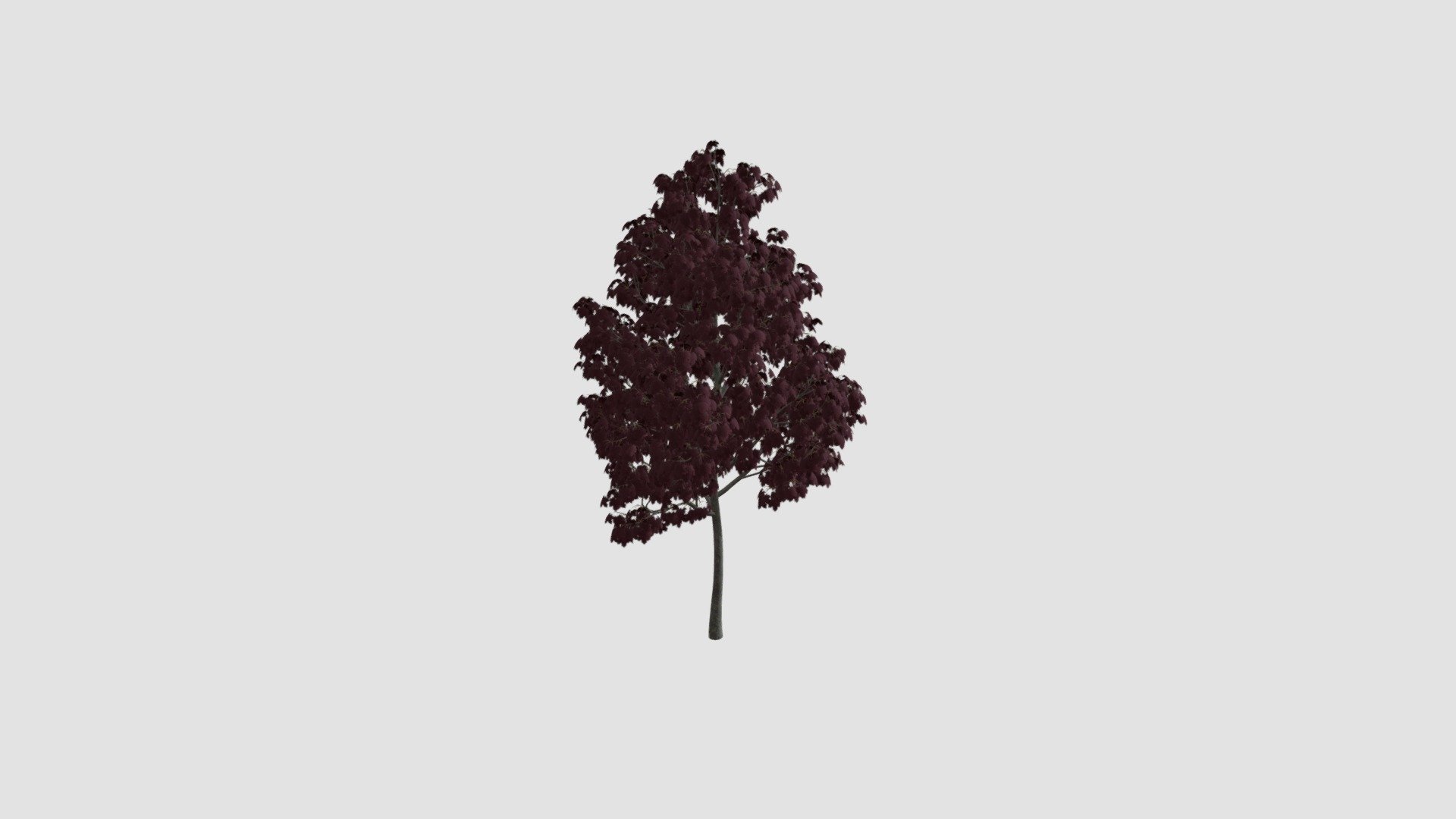 Tree - Buy Royalty Free 3D model by Evermotion [a96cd7f] - Sketchfab Store