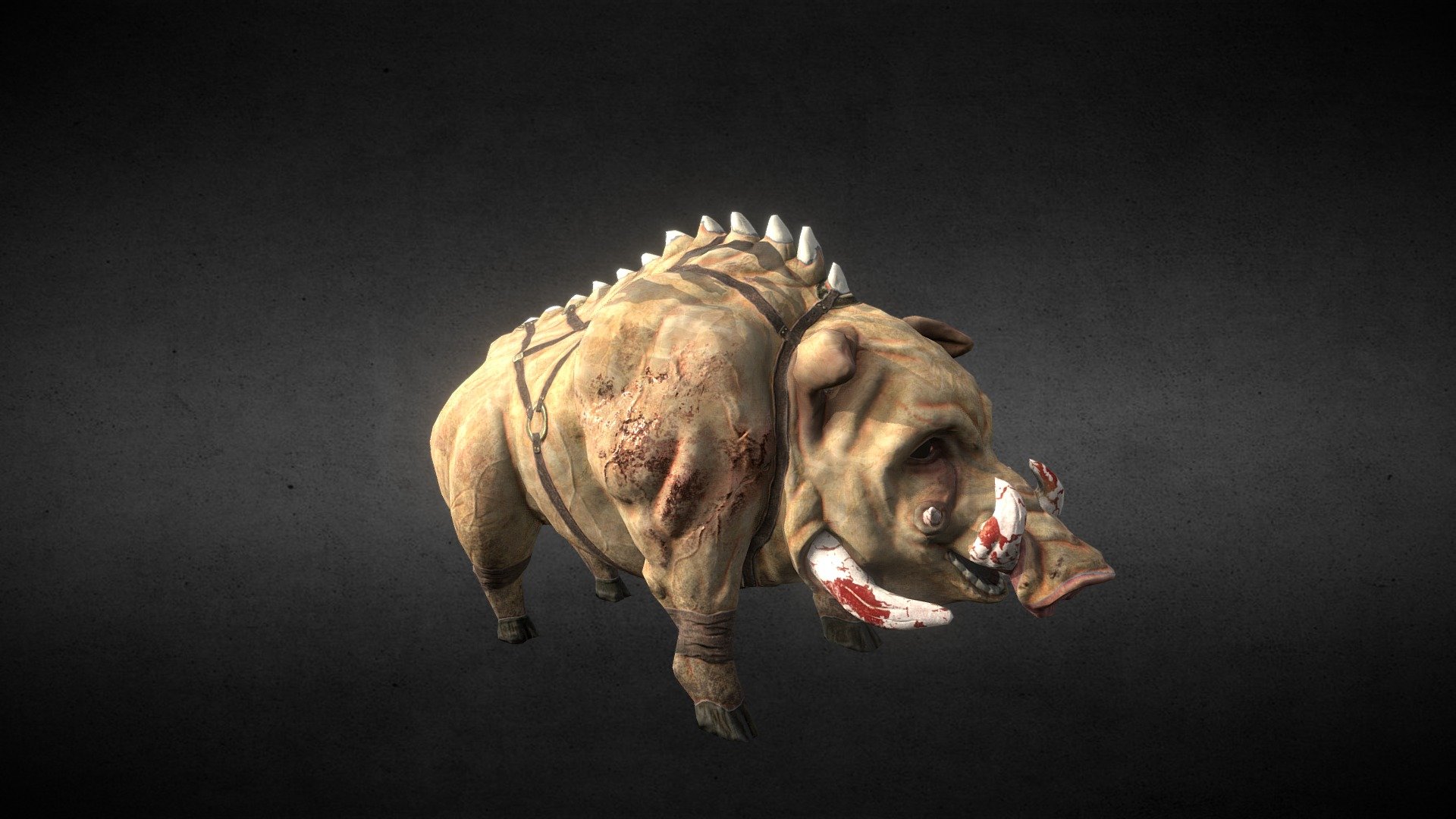 Boar - 3D model by Kazimir (@Waytan) [a972127] - Sketchfab