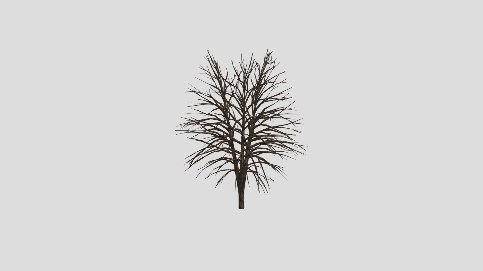 Tree - 3D model by rcfieldhouse [a973c63] - Sketchfab