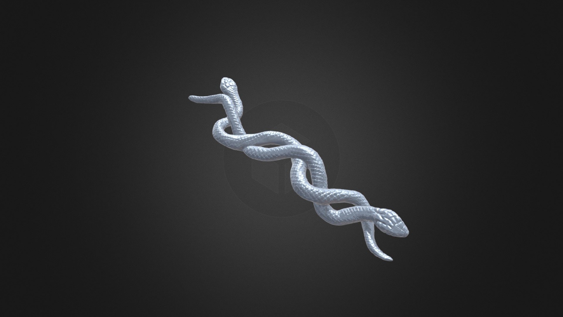 Snake - 3D model by Capture It In 3D (@CaptureMeIn3D) [a976636] - Sketchfab