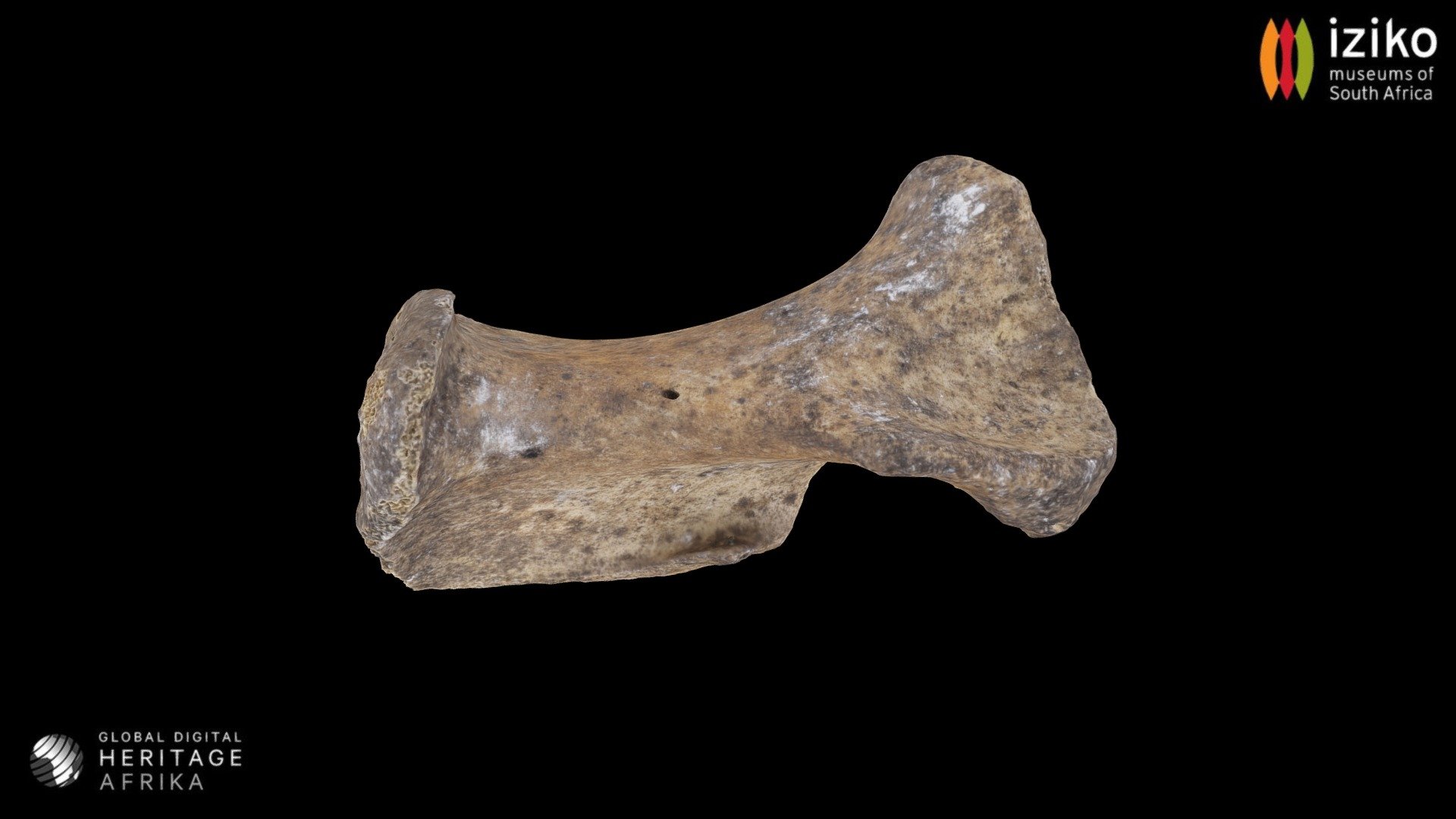 Mamel Bone - Download Free 3D model by Global Digital Heritage and GDH ...