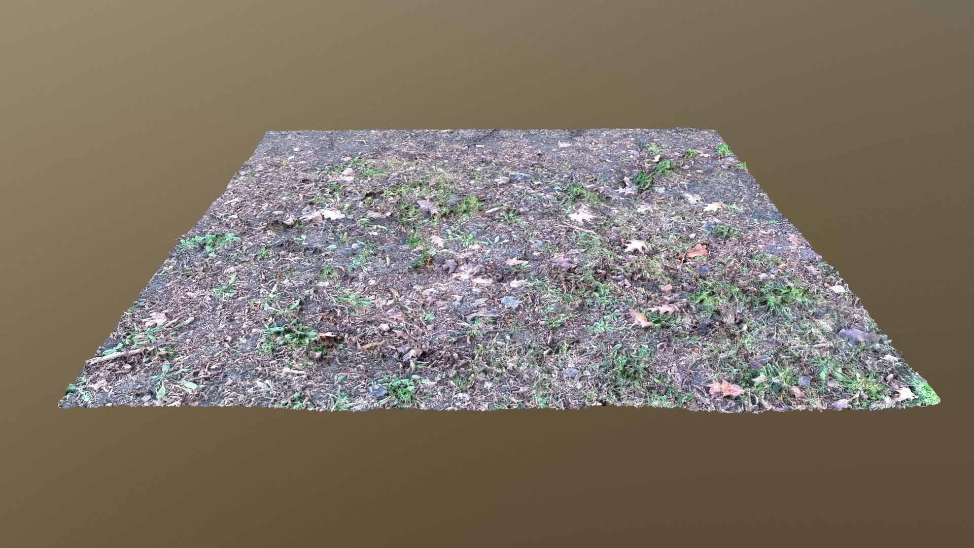 Ground - 3D model by seferynski [a97a3cf] - Sketchfab