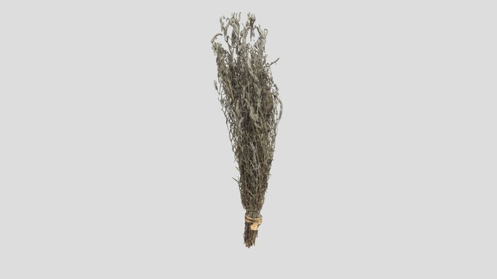 Dry-flower 3D models - Sketchfab