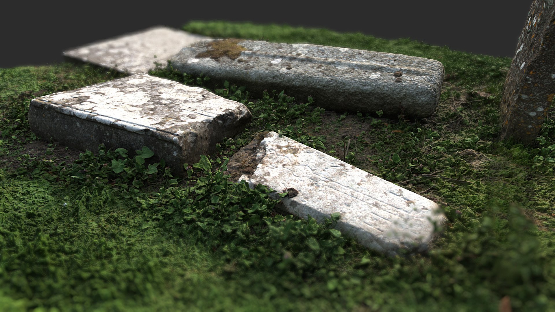 Medieval Grave Slabs, Castledermot - 3D model by Co. Kildare Heritage ...