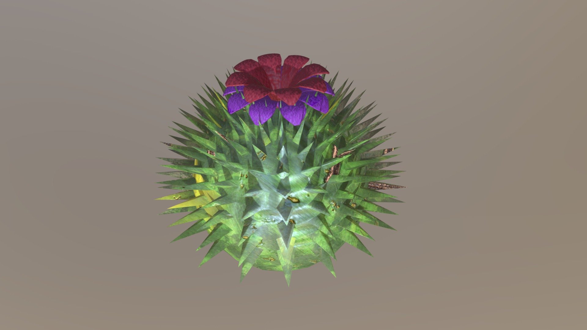 Cactus - 3D model by sigtep [a98b943] - Sketchfab