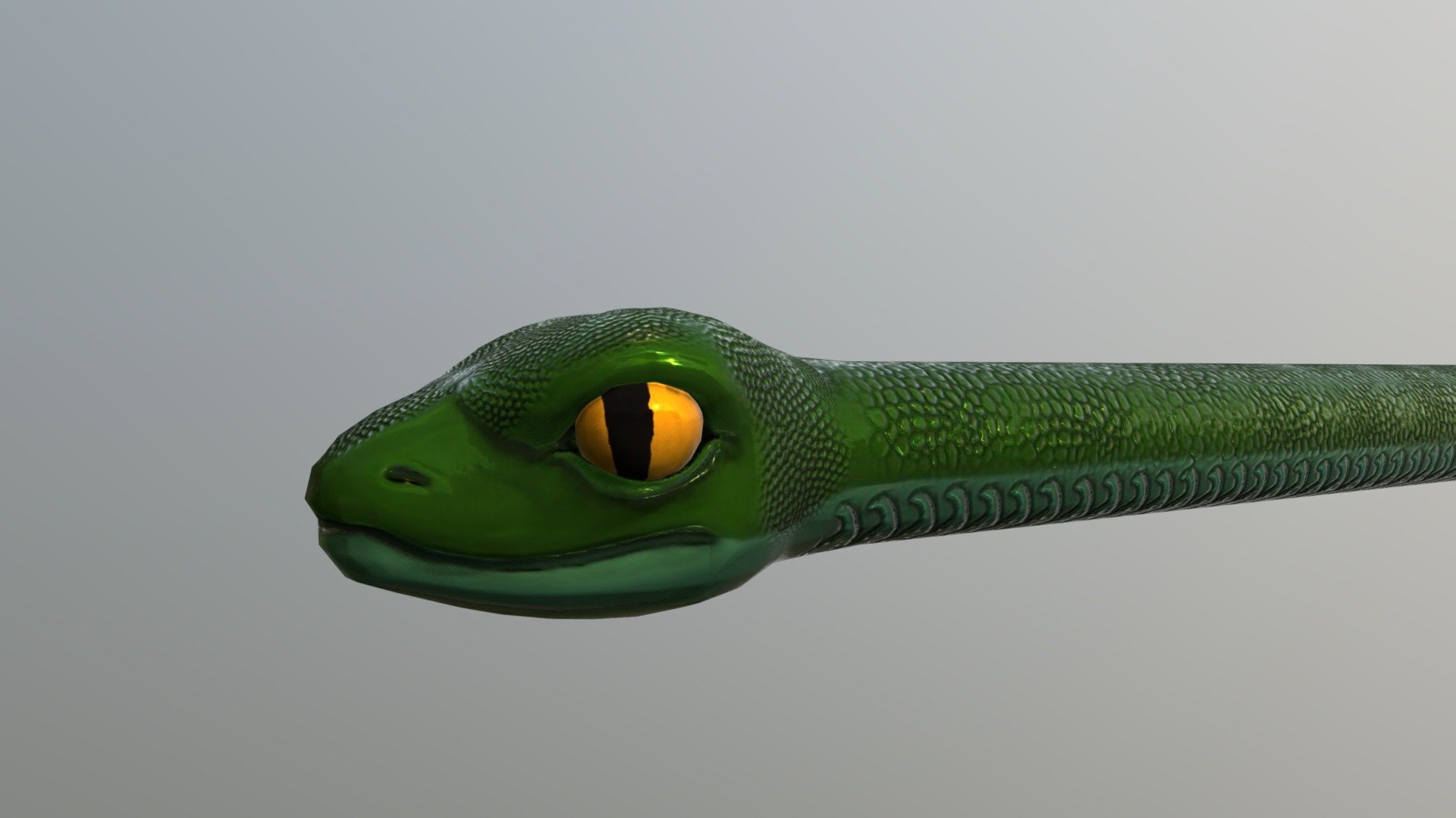 Snake - 3D model by polyanin [a98ddcc] - Sketchfab