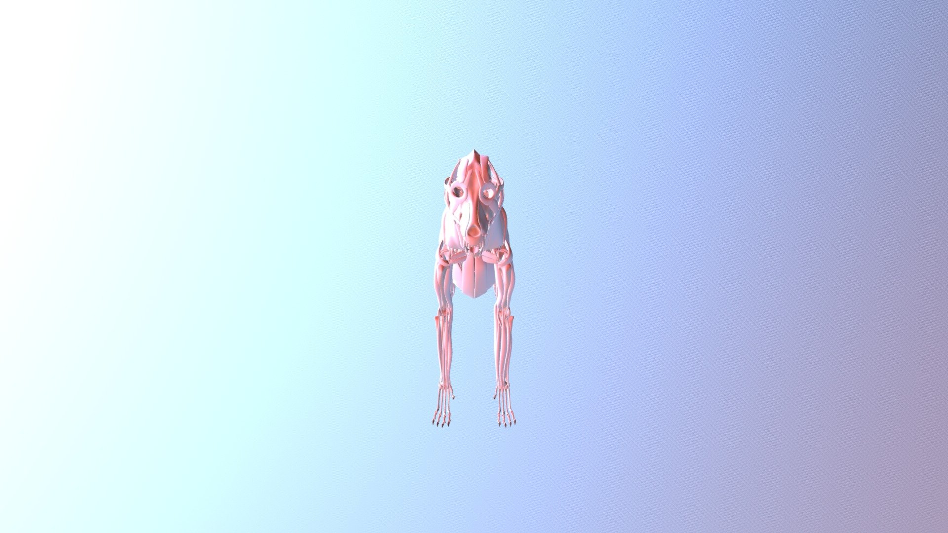 My Sketchfab Mesh - 3D model by iboddvisuals [a98fb03] - Sketchfab